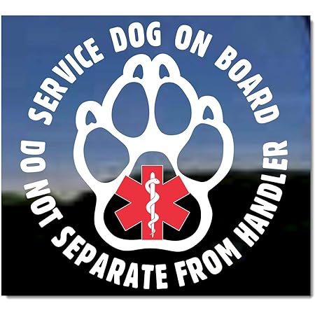 Amazon.com: Service Dog ON Board Do Not Separate from Handler Clear ...