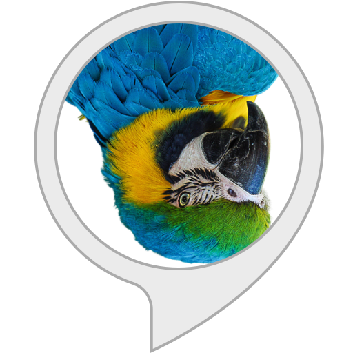 Amazon.com: Say it Backwards : Alexa Skills