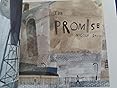 The Promise: Amazon.co.uk: Davies, Nicola, Carlin, Laura: 9781406337280 ...
