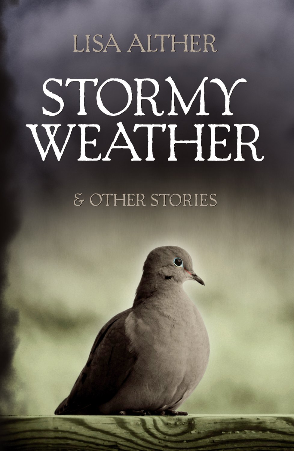 Stormy Weather & Other Stories: Alther, Lisa: 9780881463866: Amazon.com ...