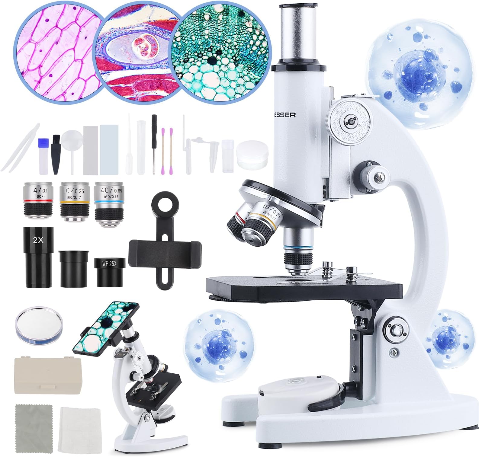 Amazon.com : Gray Microscope for Adults Kids 40-2000X Magnification ...