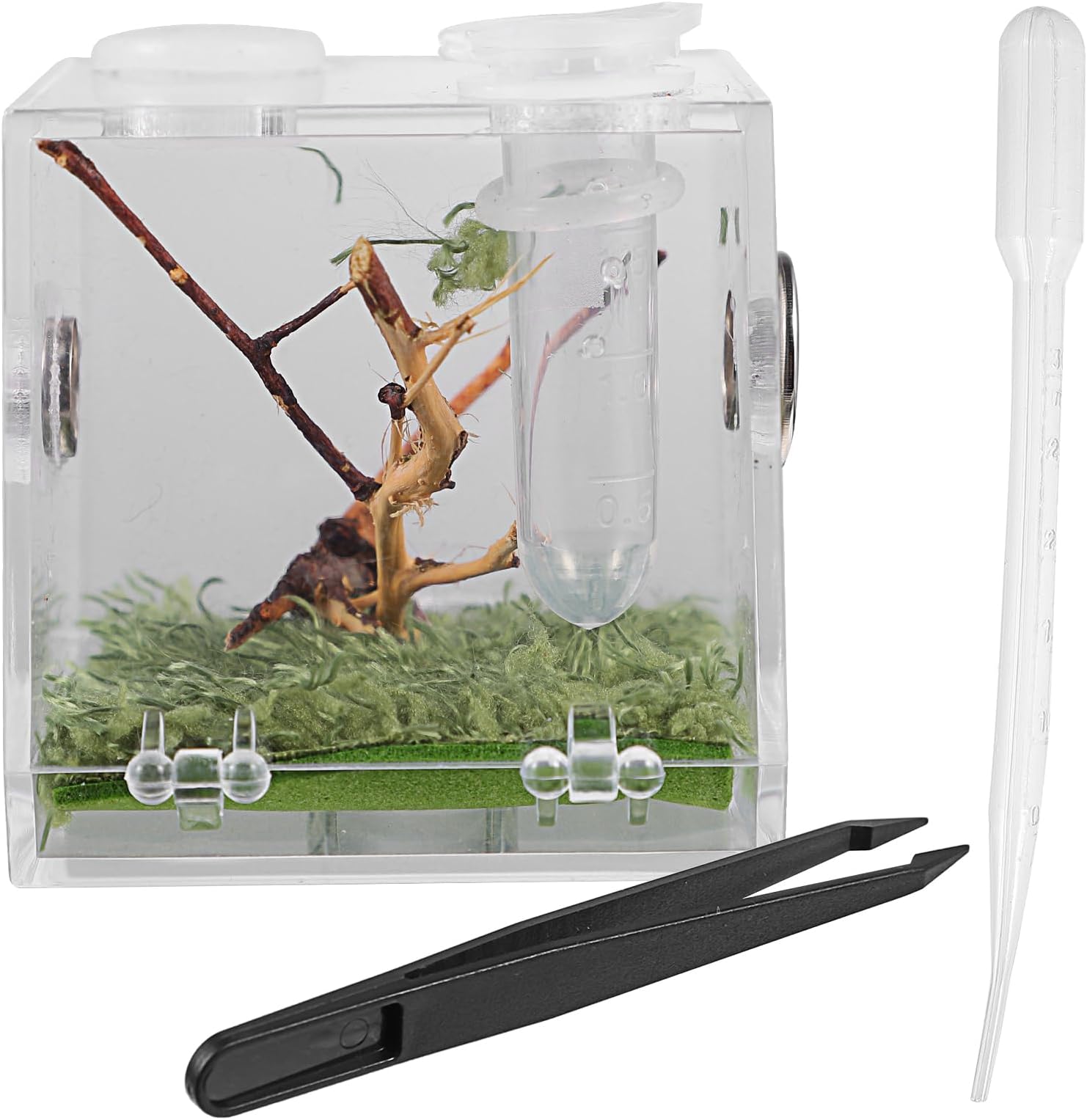 Alipis Spider Terrarium Spider Habitat Box Reptile Breeding Box with ...