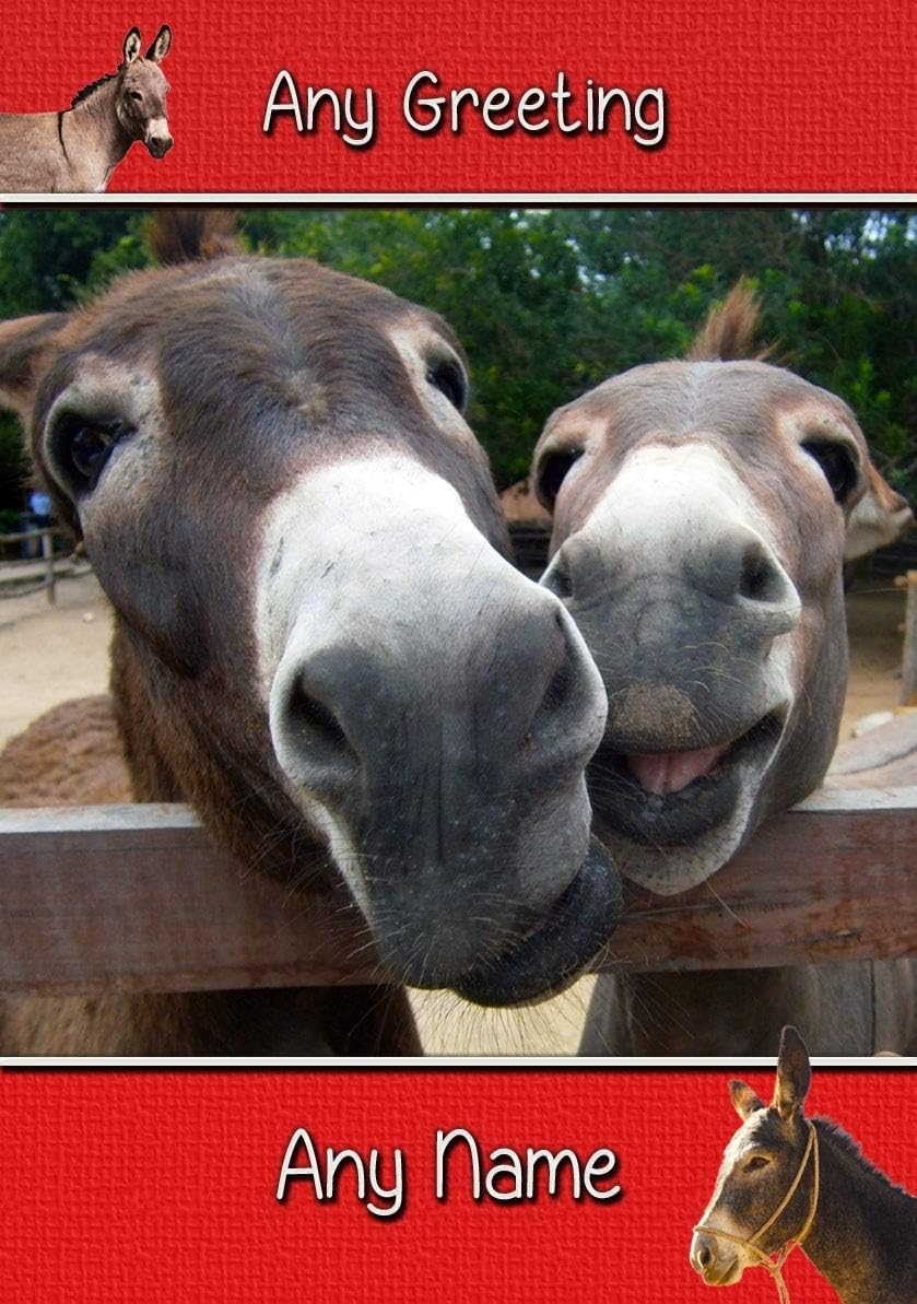 Personalised Donkey Greeting Card (Birthday, Christmas, Any Occasion ...