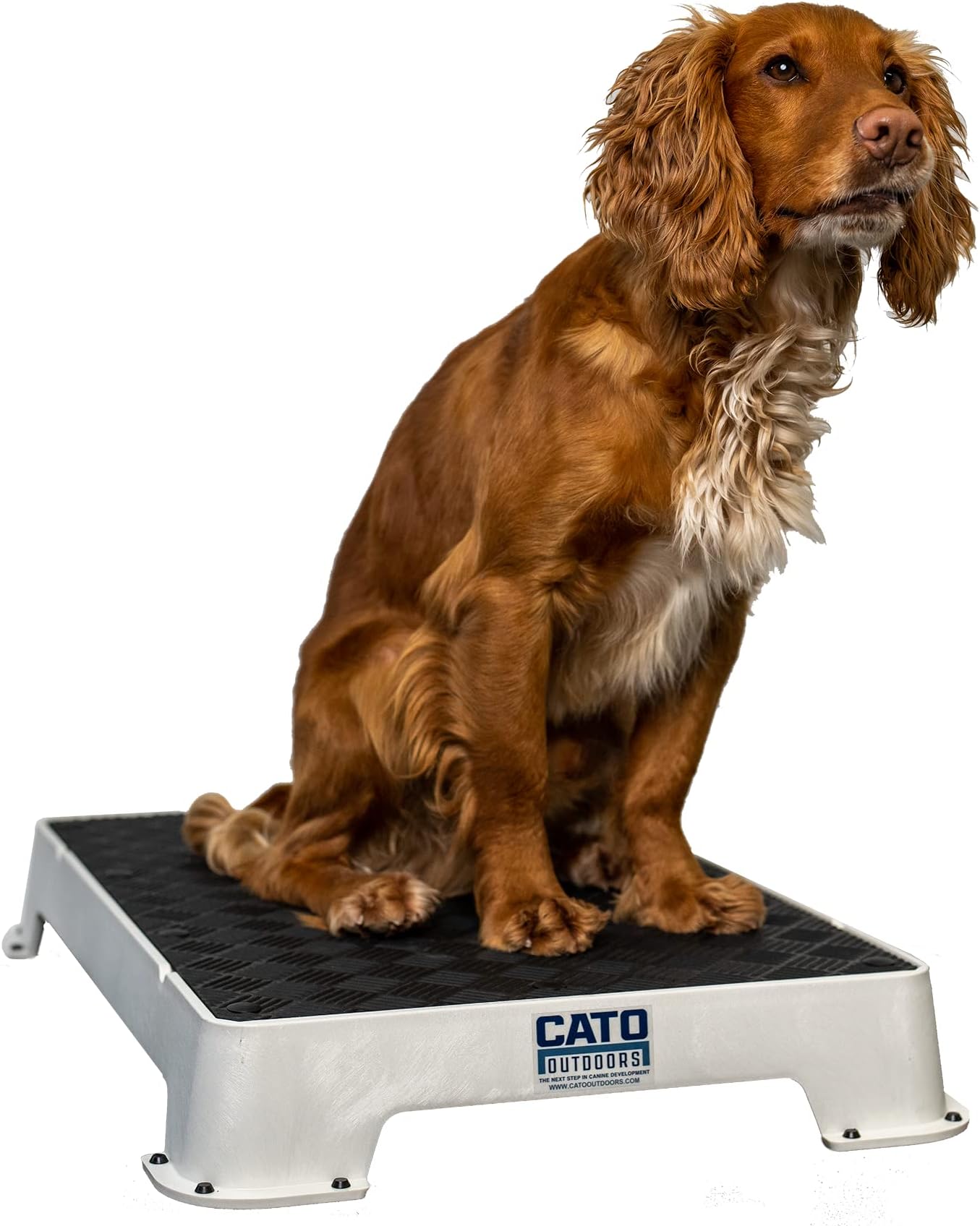 Pet Supplies : Cato Board - Dog Training Platform (Blue, Turf Surface ...