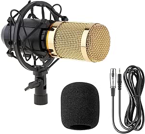 Microphone Professional Microphone Set BM-800 Capacitor Studio ...