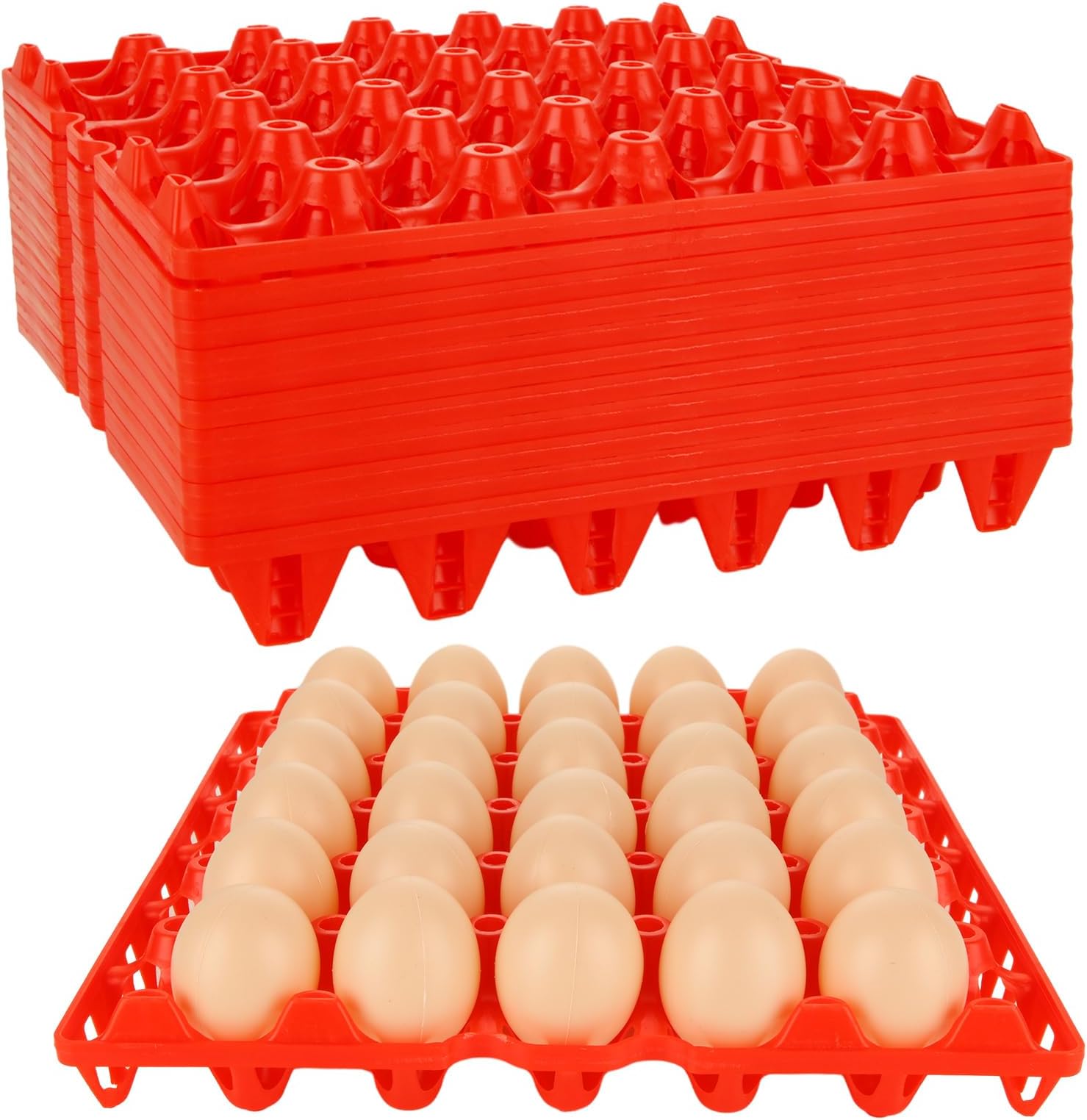 Amazon.com: Rite Farm Products 24 30 Egg Poly Chicken Trays Shipping ...