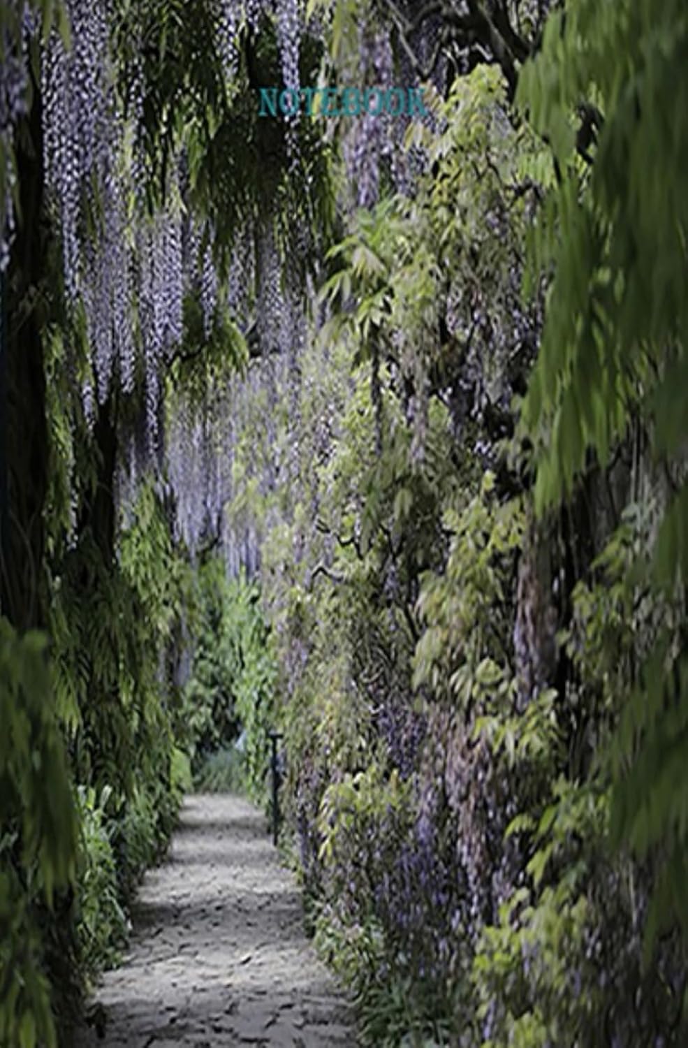 Notebook: Amazon.co.uk: Moore, Matilda: Books