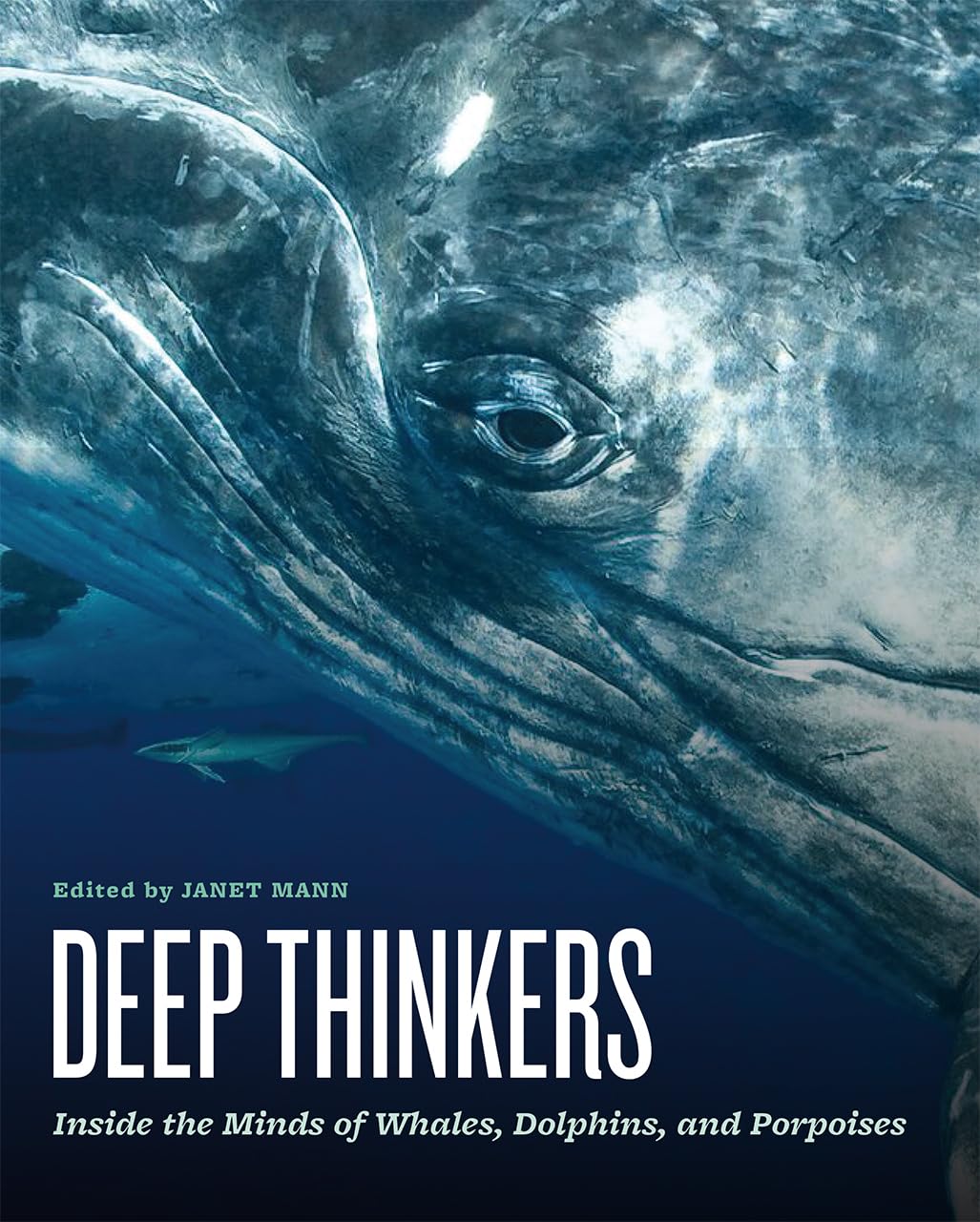 Deep Thinkers: Inside the Minds of Whales, Dolphins, and Porpoises ...
