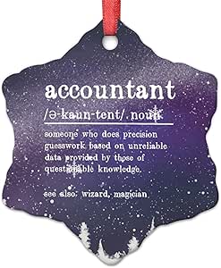 Amazon.com: Accountant Christmas Ornaments Accountant Definition ...