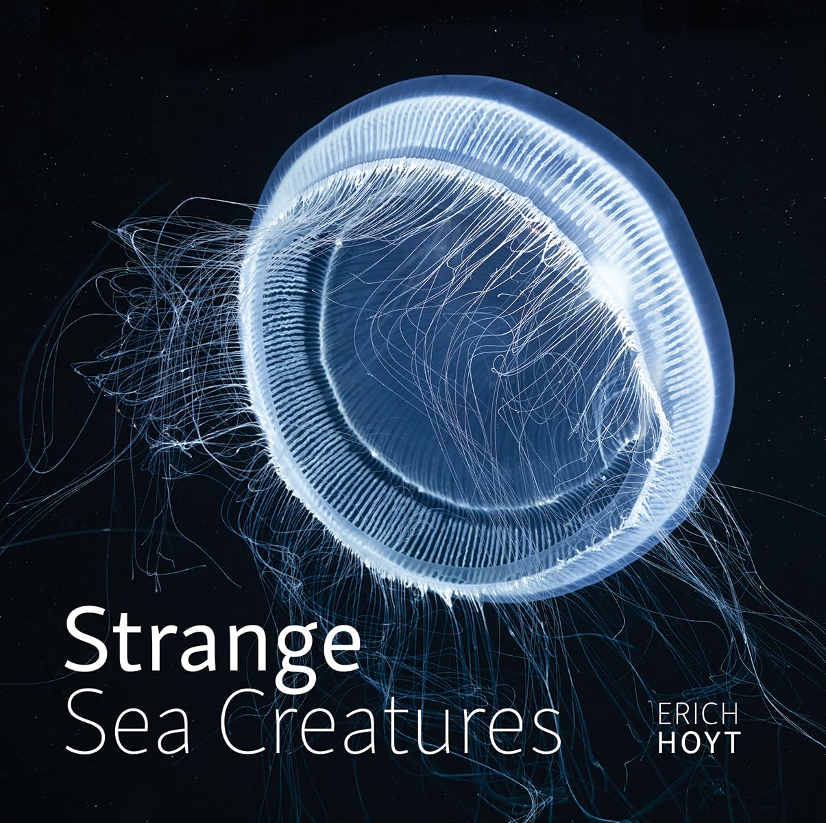 Strange Sea Creatures | Amazon.com.br