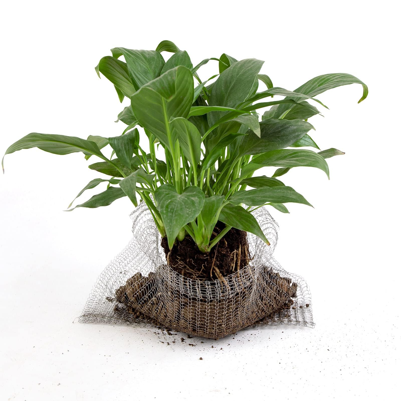 Snapklik.com : 2 Packs 15 Gallon Root Guard Gopher Proof Wire Basket ...