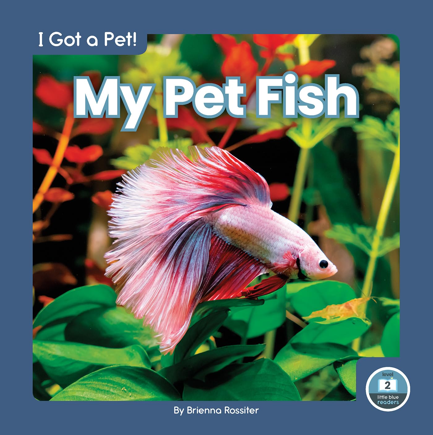 My Pet Fish (I Got a Pet!): Brienna Rossiter: 9781646195886: Amazon.com ...