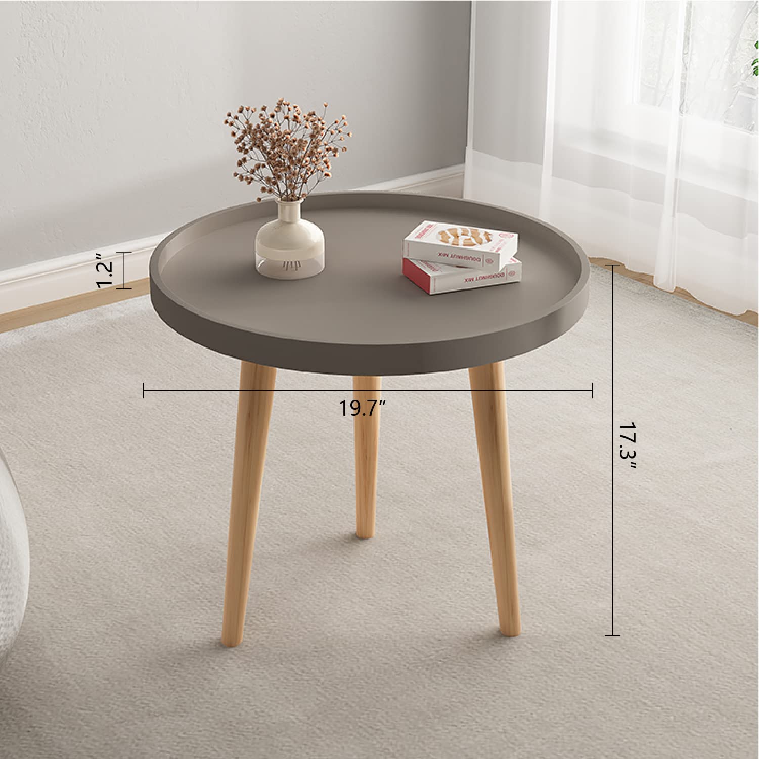 N&V 20 Inch Side Table, Modern Minimalist End Table, Home Decor Living ...