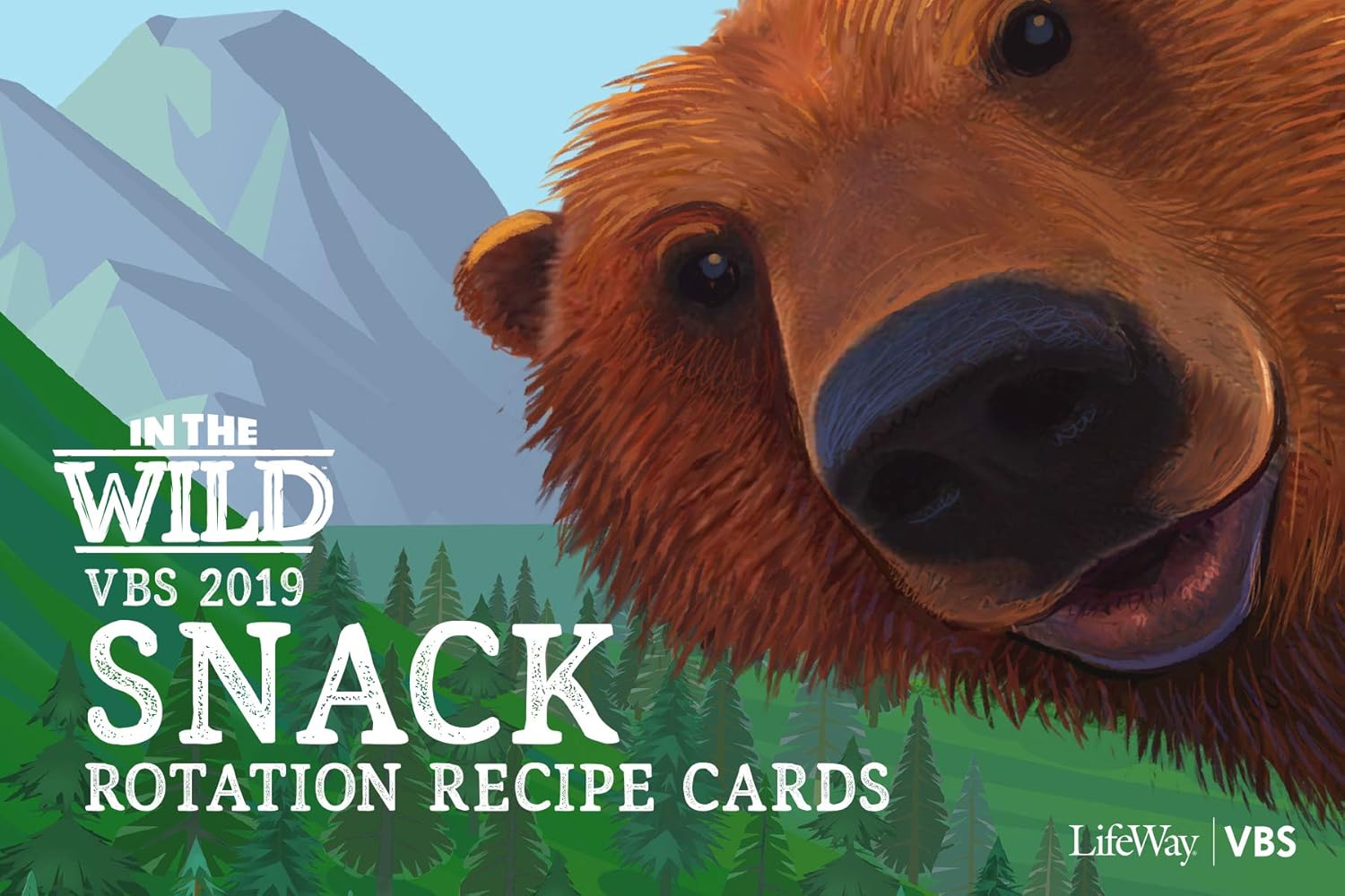 VBS 2019 Snack Rotation Recipe Cards: Lifeway Kids: 9781535909778 ...