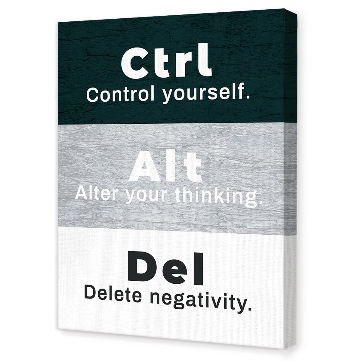 Snapklik.com : Ctrl Alt Del Wall Art,Control Yourself Alter Your ...