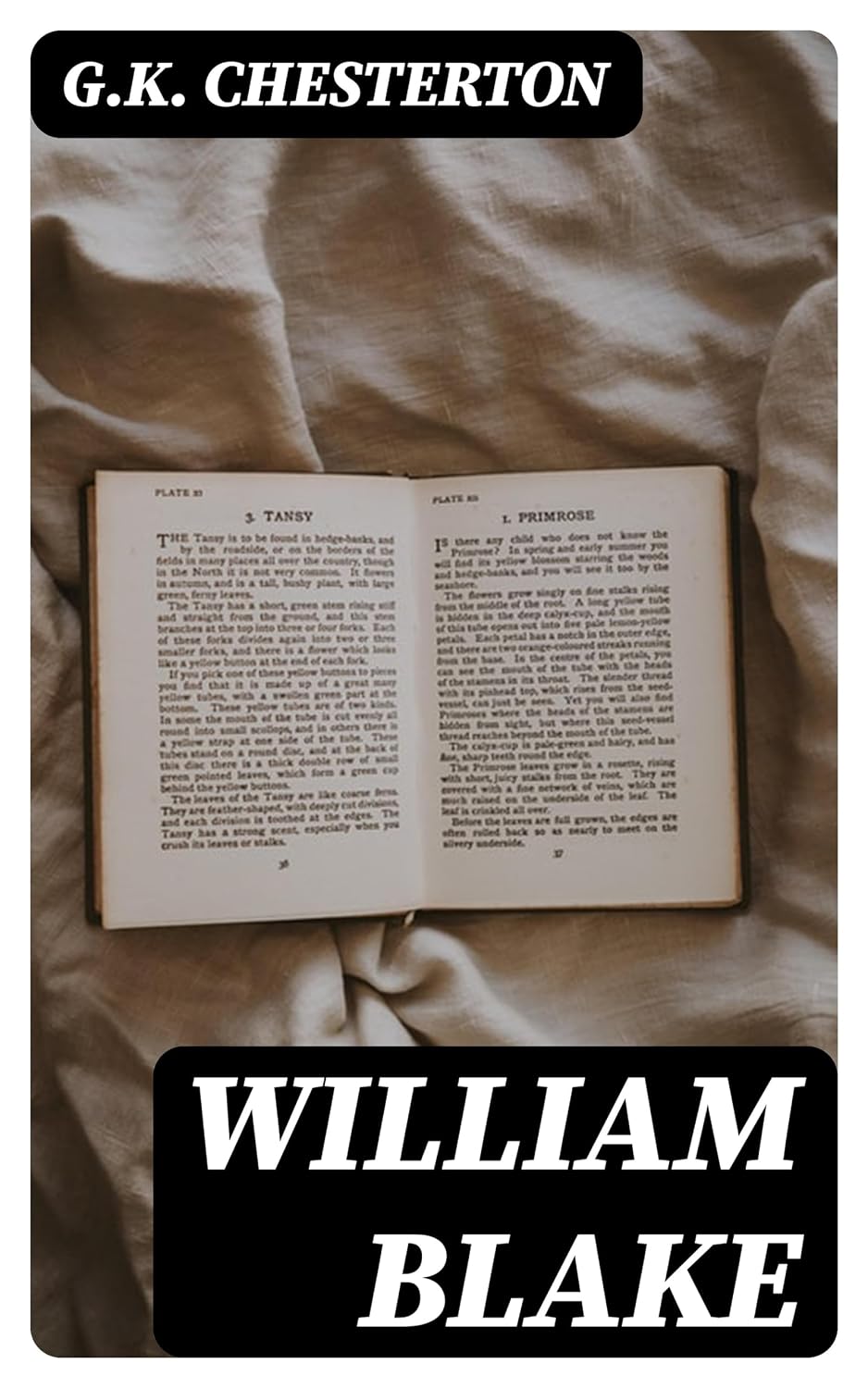 Amazon.com: William Blake eBook : Chesterton, G.K.: Kindle Store