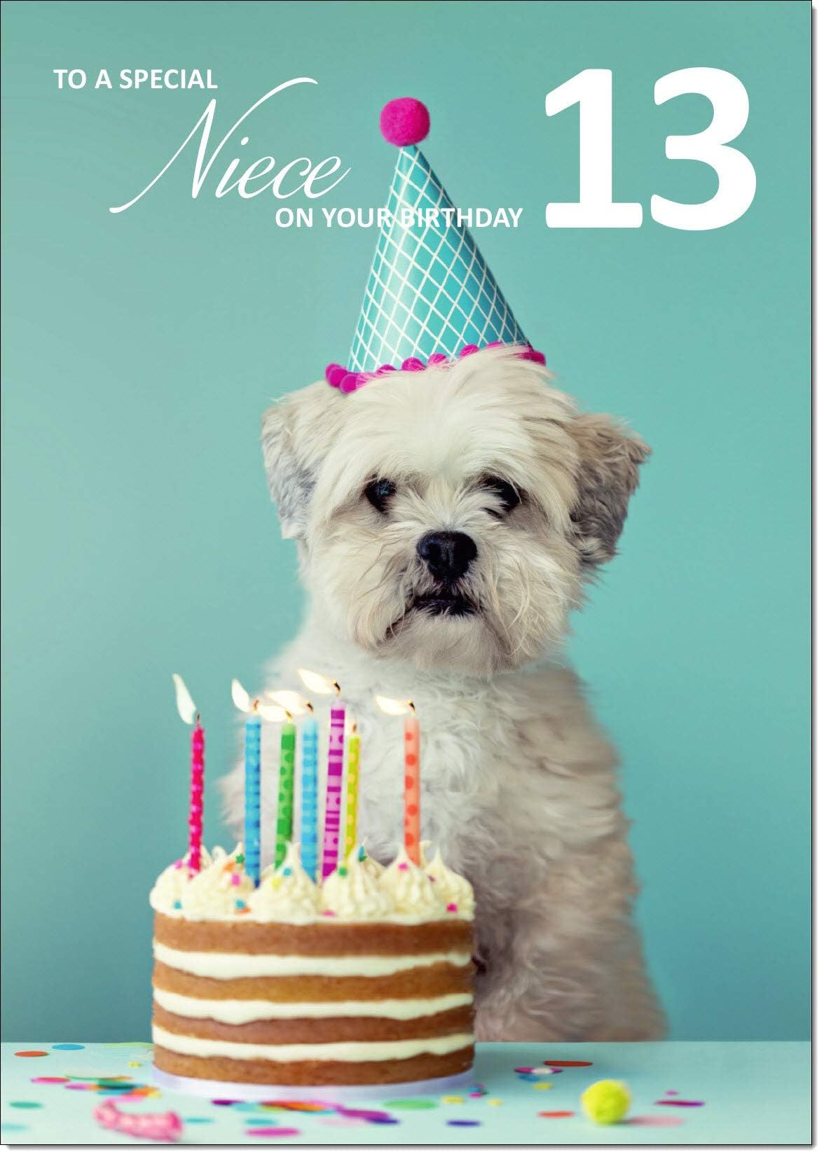 NIECE 13TH BIRTHDAY CARD. MODERN DESIGN 9 X 6 INCHES : Amazon.co.uk ...