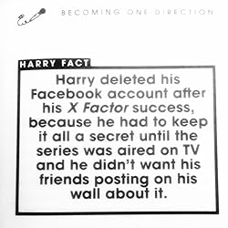 Harry Styles: The Biography, Offstage: Cronin, Ali: 9781524787981 ...