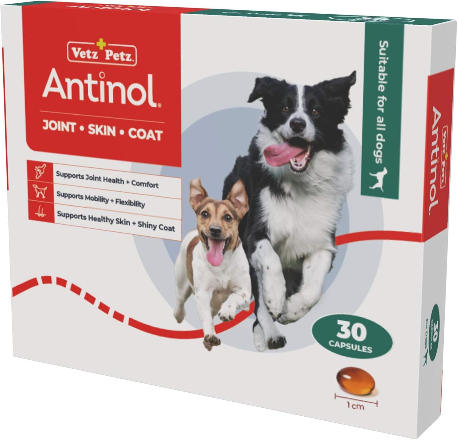 Antinol - Natural Joint Supplement for Small Adult & Senior Dogs ...