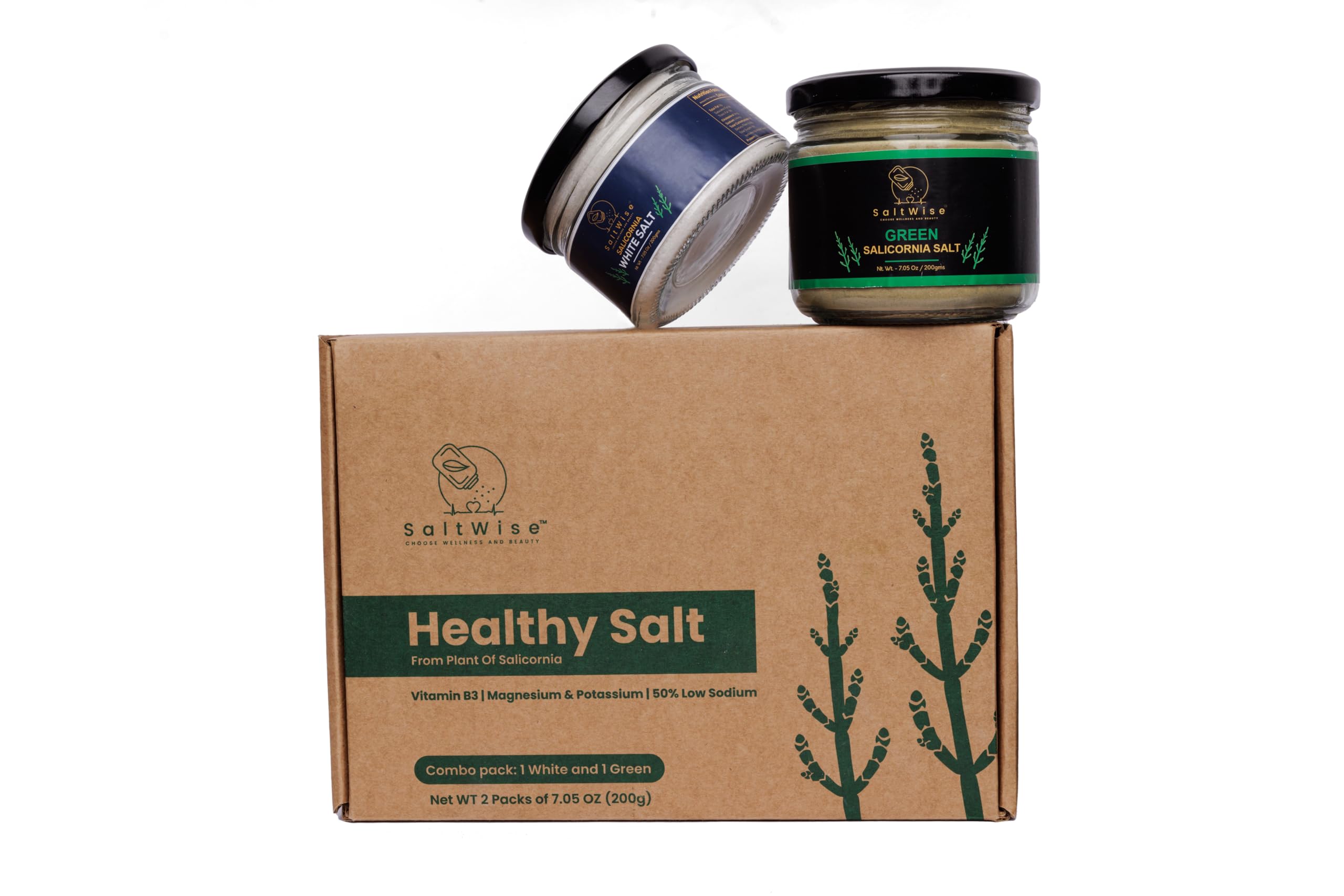 Amazon.com : SaltWise Salicornia Green and White Salt Combo Pack, Low ...