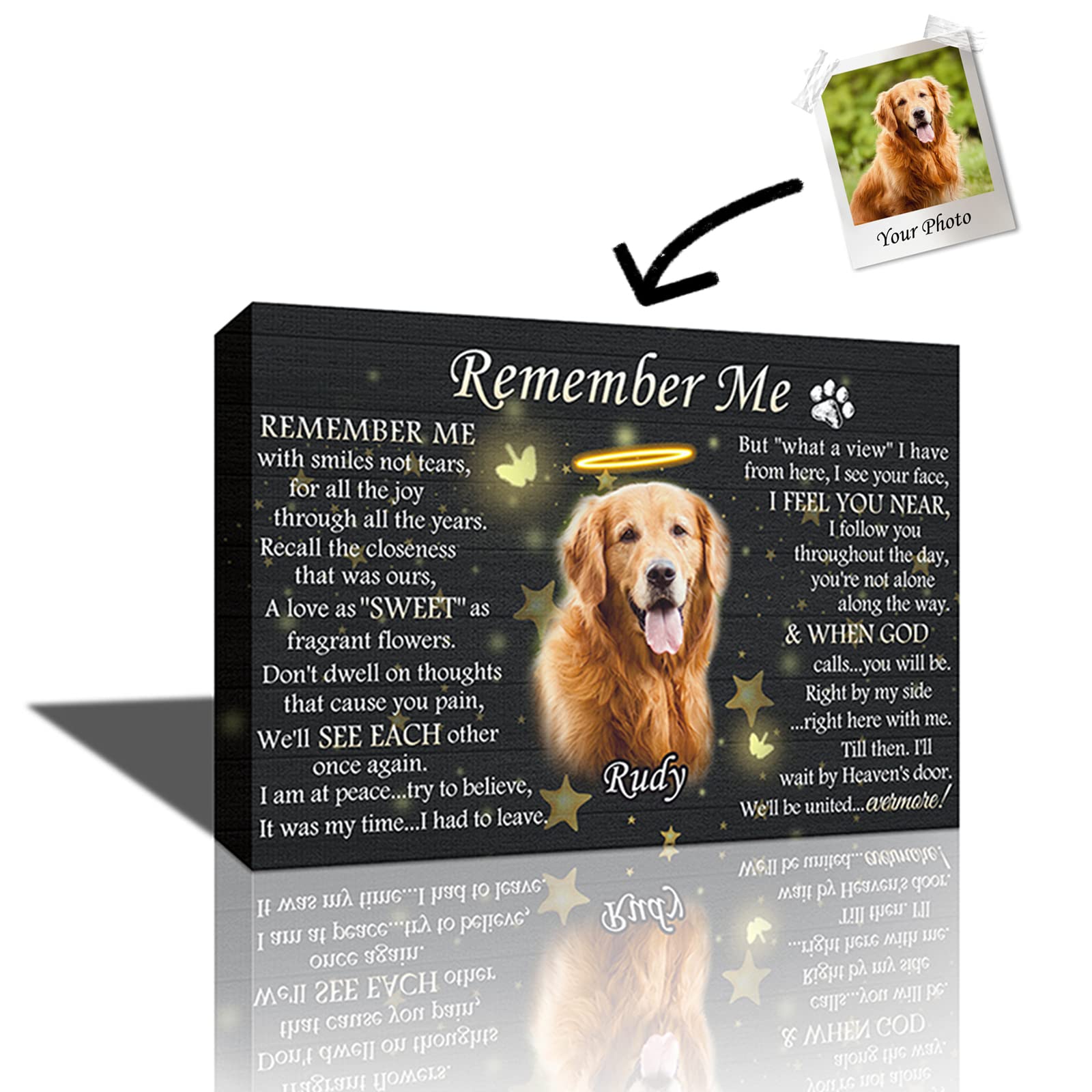 Will A Dog Remember Me After A Year