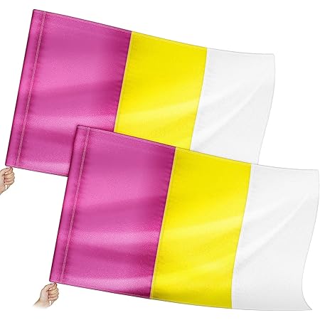 Amazon.com : Mepase 2 Pcs 40'' Metallic Praise Flag with Rod Worship ...