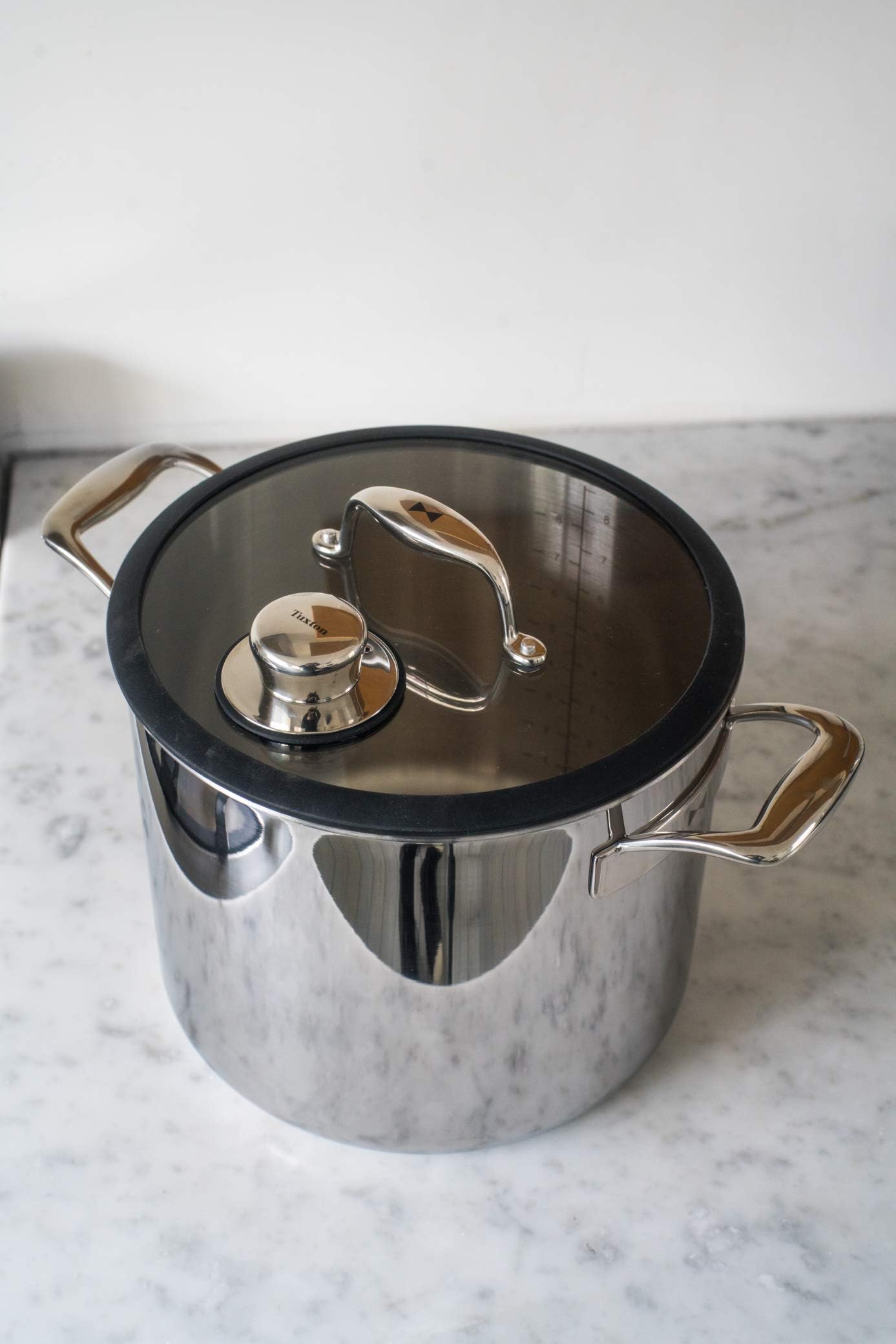 Amazon.com: Tuxton Home Chef Series Sous Vide, 9.8-Quart Pot, Silver ...