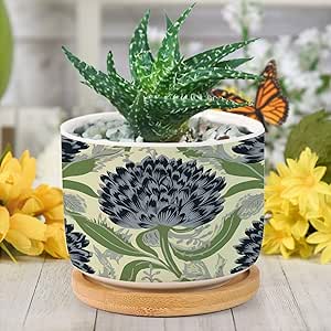 Amazon.com: Turquoise Green Chinoiserie Floral Ceramic Flower Pots ...