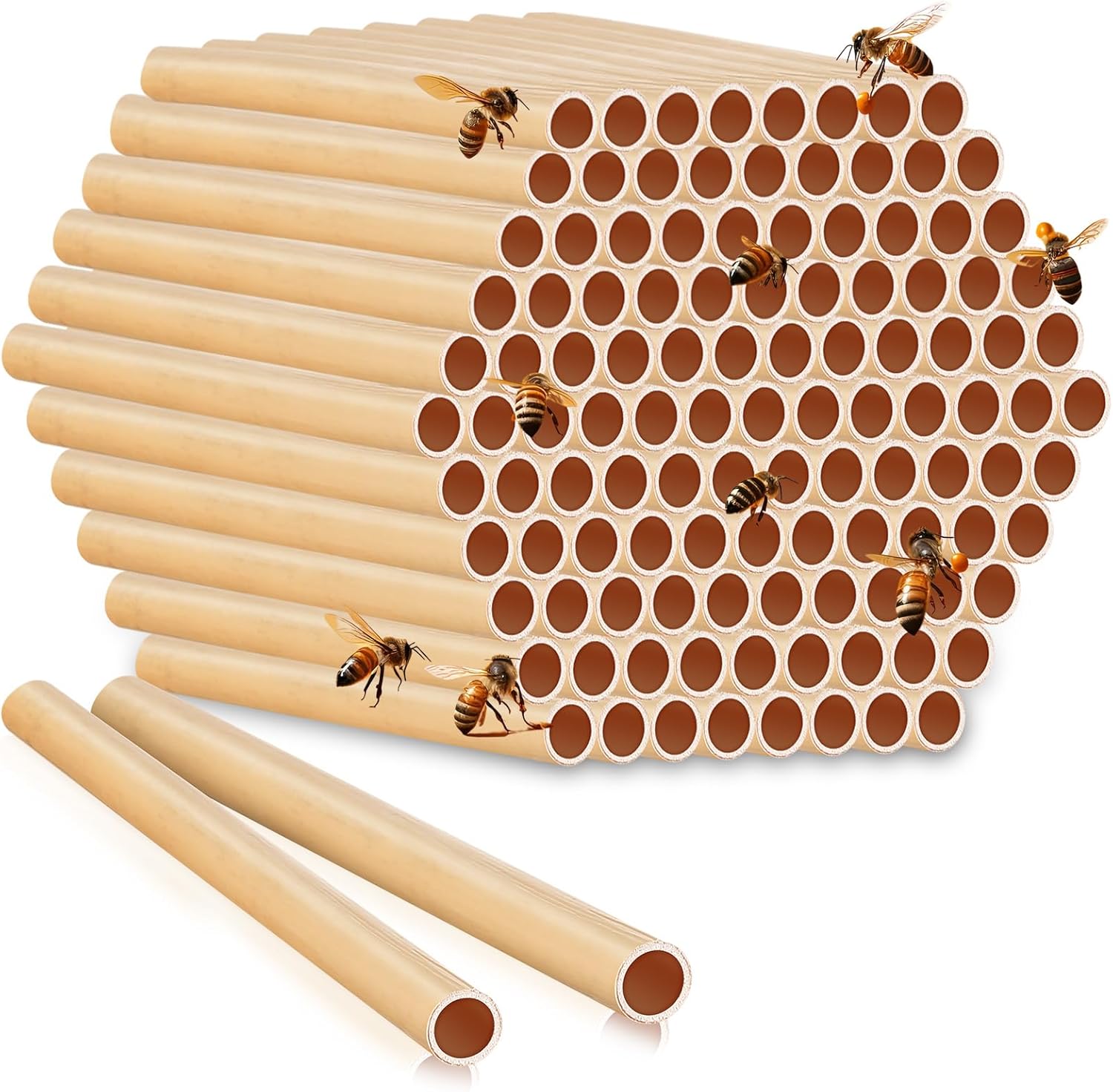 Amazon.com : Tinideya 250 Pcs Phragmite Reed Mason Bee Tubes Set Bee ...
