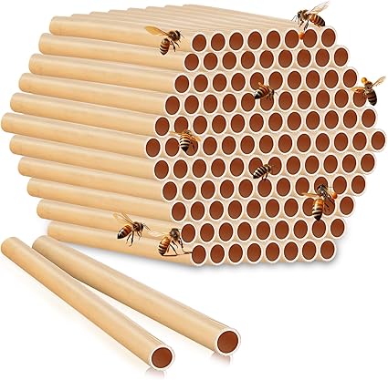 Amazon.com : Tinideya 250 Pcs Phragmite Reed Mason Bee Tubes Set Bee ...