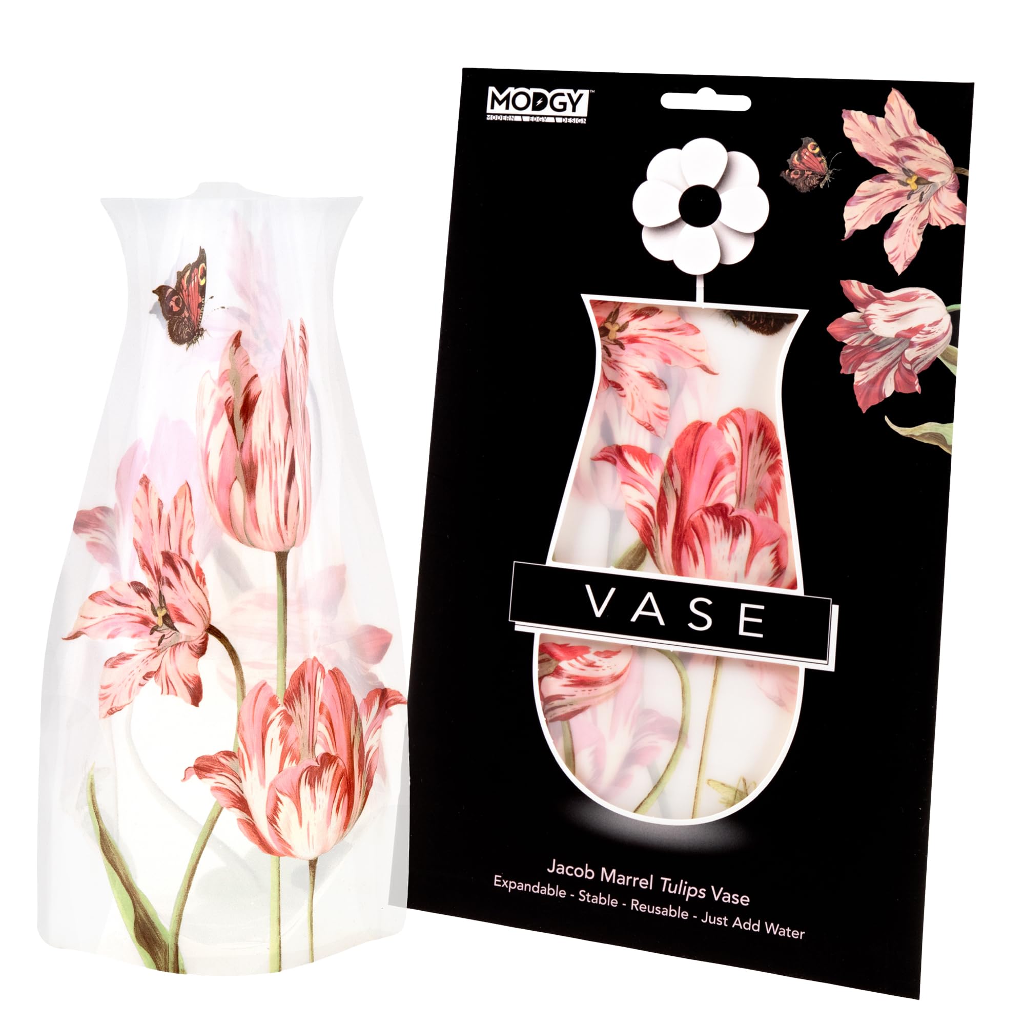 Amazon.com: MODGY Expandable Flower Vase, Plastic Decorative Modern ...