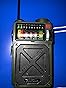 Amazon.com: Raddy RE40 Portable Shortwave Radio FM/AM/SW/WB Receiver ...