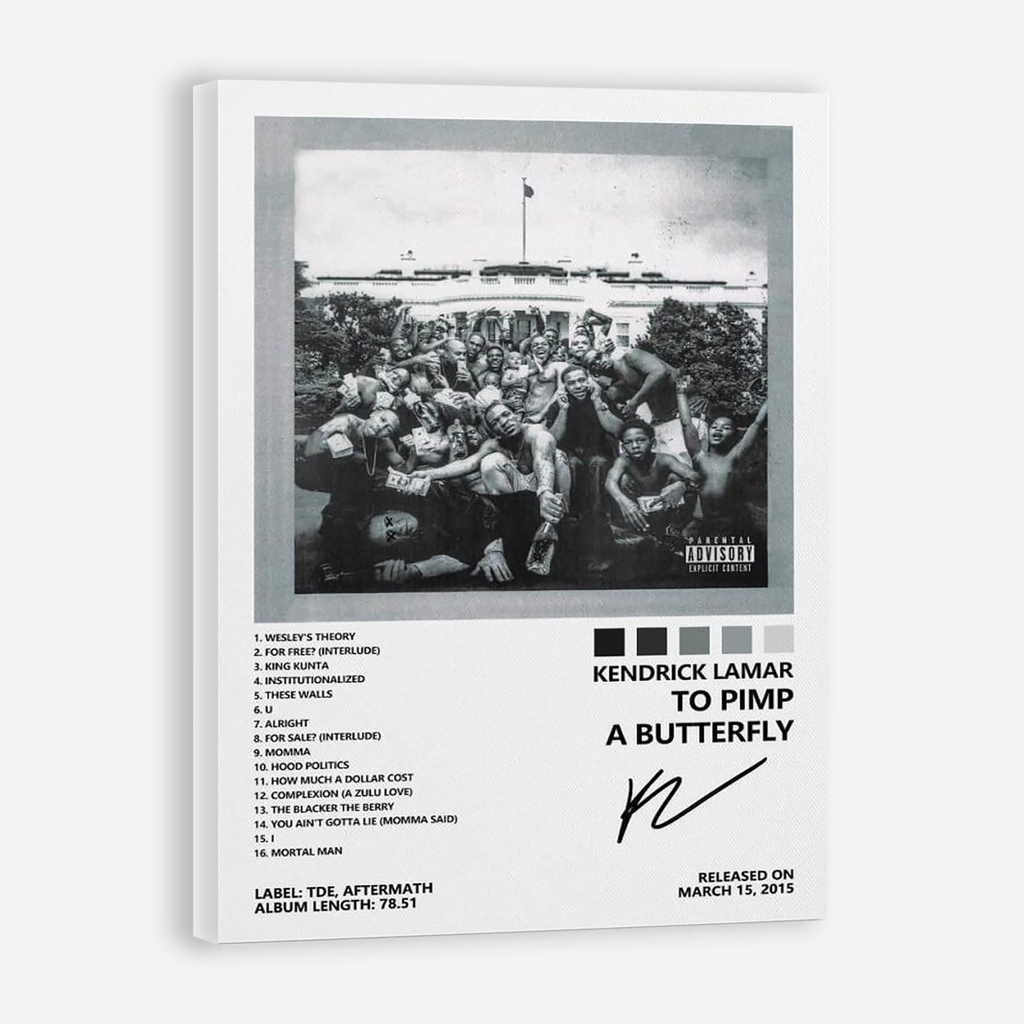 Amazon.com: Kendrick Poster Lamar To Pimp A Butterfly Album Cover ...