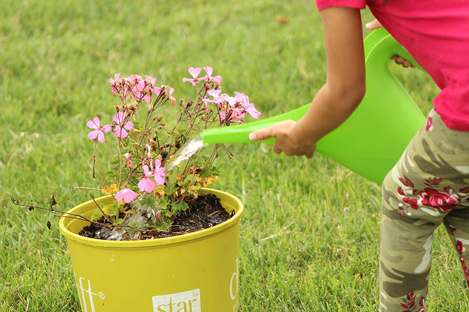 Snapklik.com : Ashman Set Of 6 Watering Cans, Indoor And Outdoor Use ...