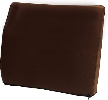 Amazon.com: Posture Curve Cushion By Body Care Lumbar Support Model 100 ...