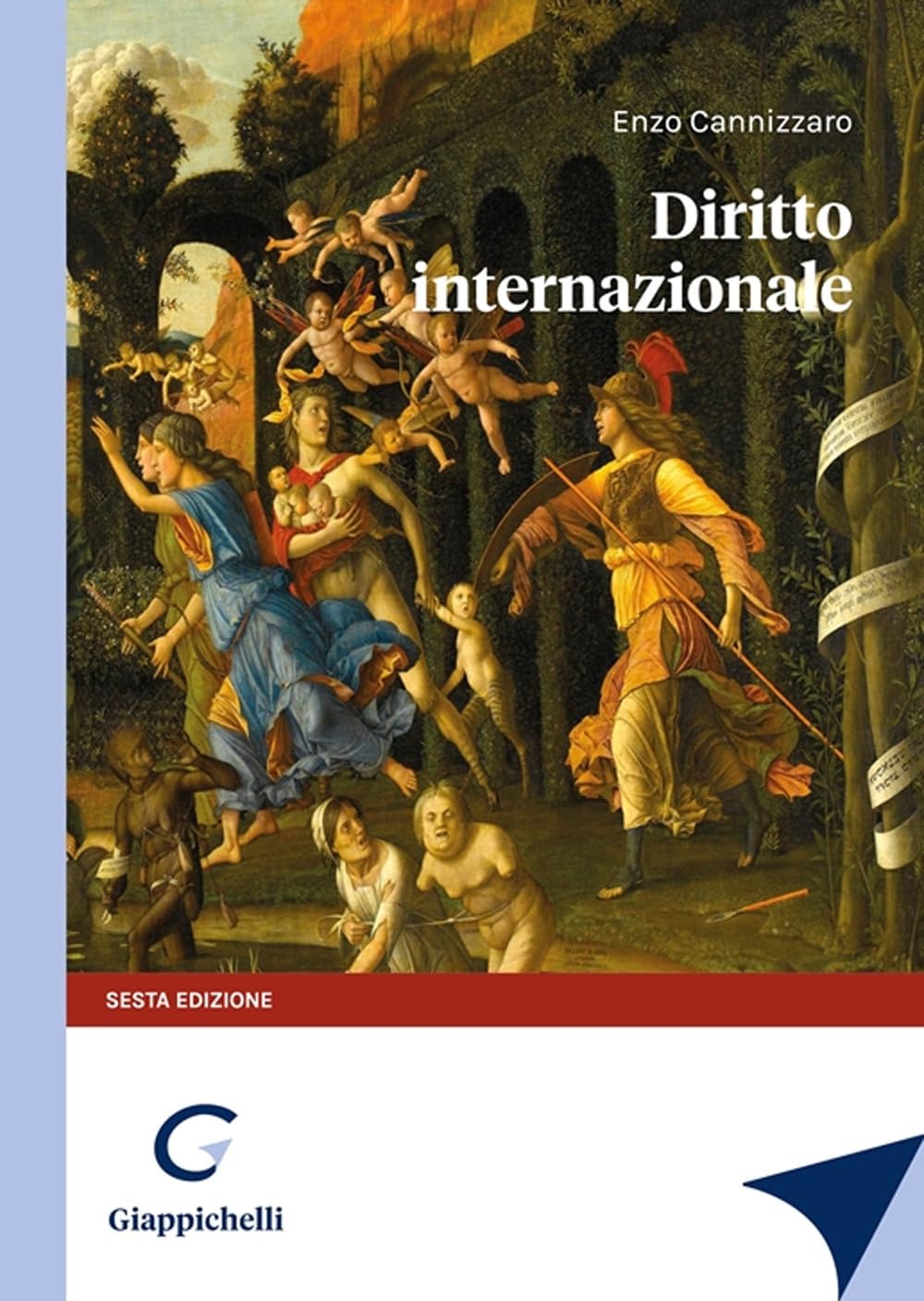 Amazon.it: Diritto internazionale - Cannizzaro, Enzo - Libri