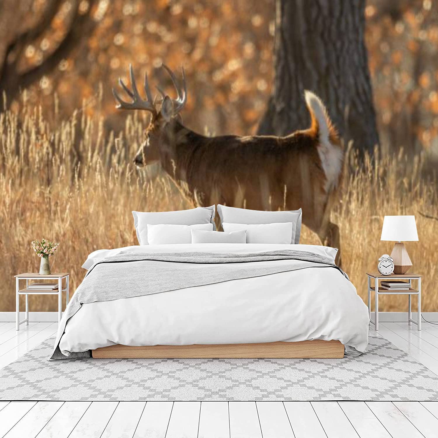 Autumn Whitetail Deer Wallpaper HD Deer In Autumn Wallpapers | Peakpx