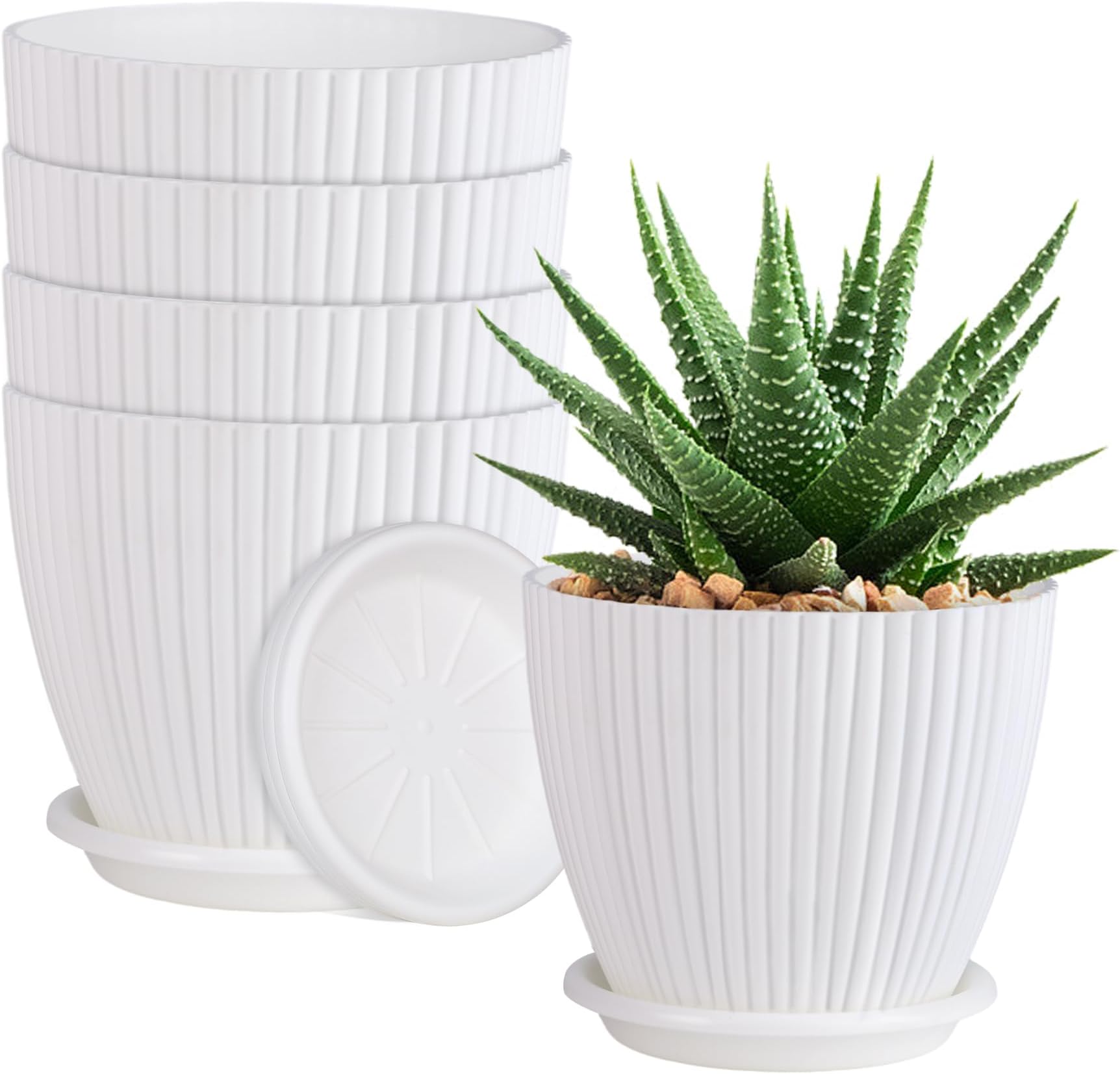 Amazon.com: Brajttt Flower Pots,6 Inch Succulent Pots with Drinage ...
