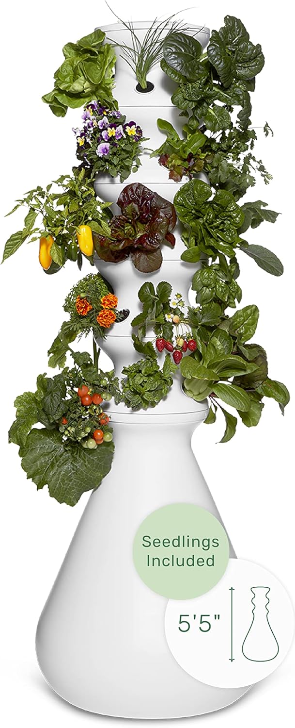 Amazon.com: Lettuce Grow Farmstand Starter Kit + Seedlings | 30 Plant ...