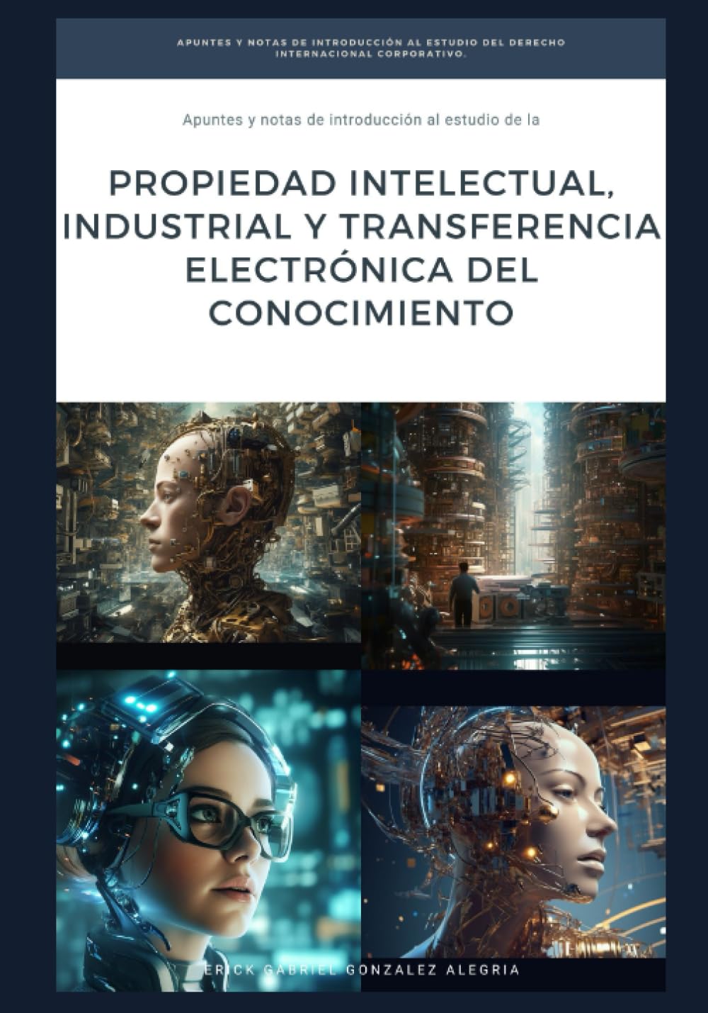 Apuntes y Notas de Introducción al Estudio de la PROPIEDAD INTELECTUAL ...
