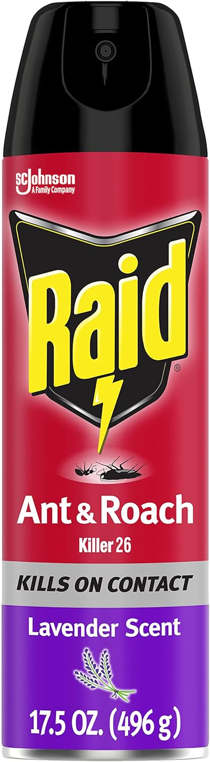 Amazon.com: Raid Ant & Roach Killer Spray For Listed Bugs, Keeps ...