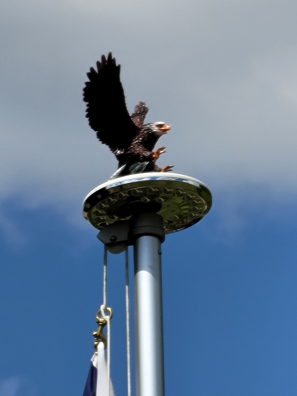 Amazon.com : PolePalUSA Eagle in Flight Flagpole Topper Finial Ball ...