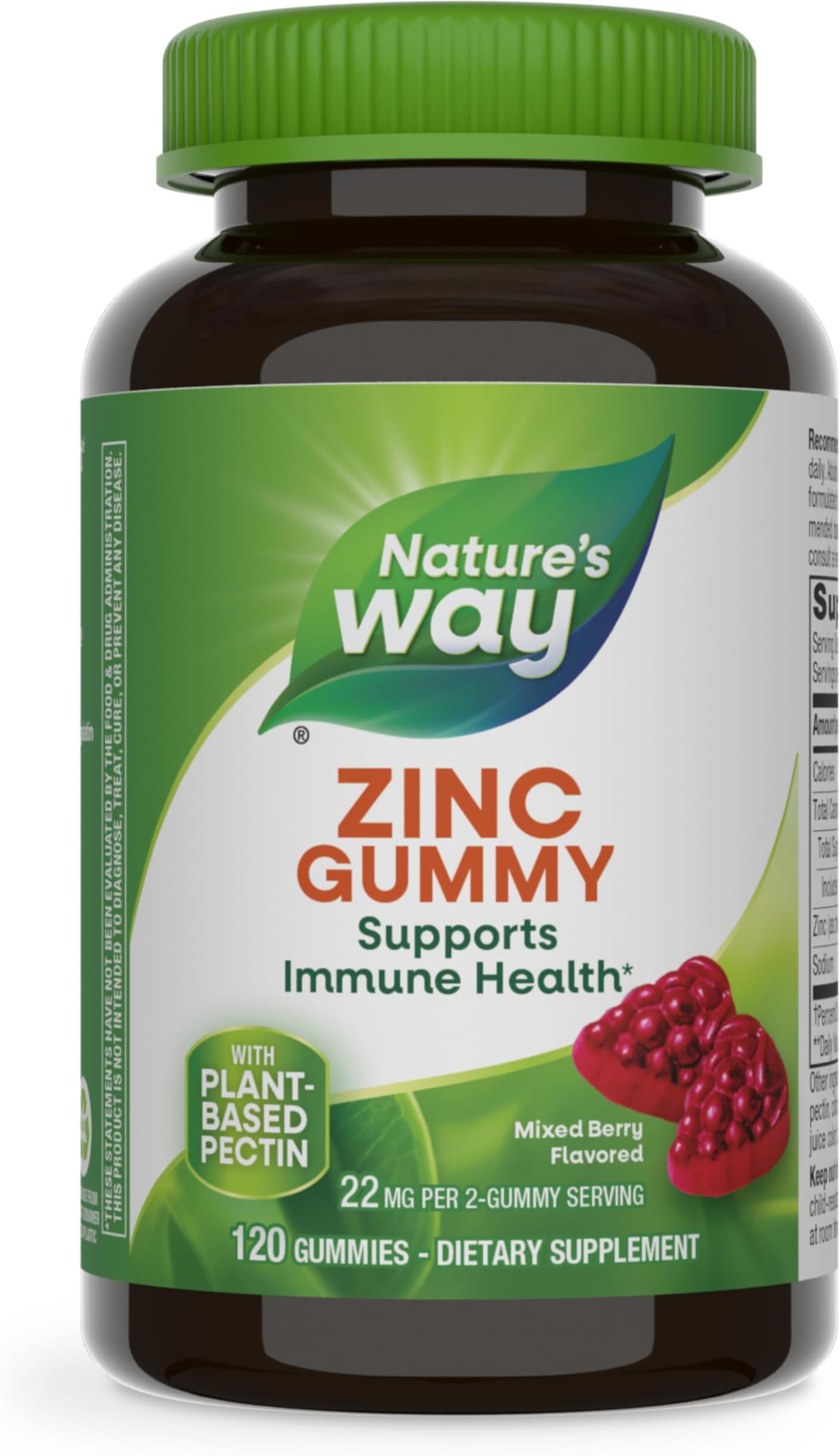 Amazon.com: Zinc Gummies for Kids - Chewable Zinc Gummy Supplement for ...