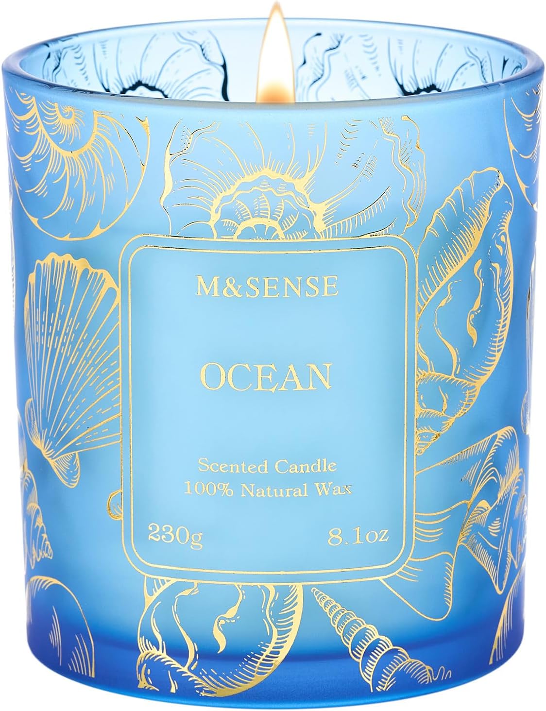 Amazon.com: M&SENSE Natural Soy Wax Ocean Scented Candles, 8.1oz Non ...