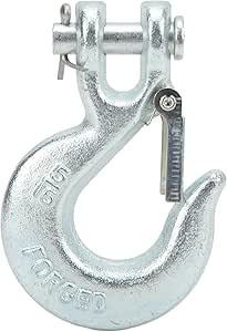 Amazon.com: Pilipane 5/16 Inch Clevis Slip Hook with Latch, Forged ...