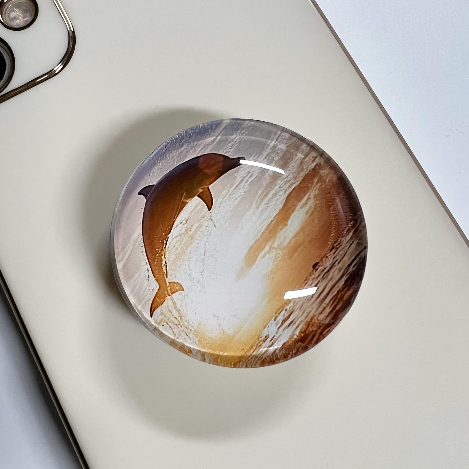 Amazon.com: WUYULB Clear Glitter Sunset Dolphin Design Expandible ...