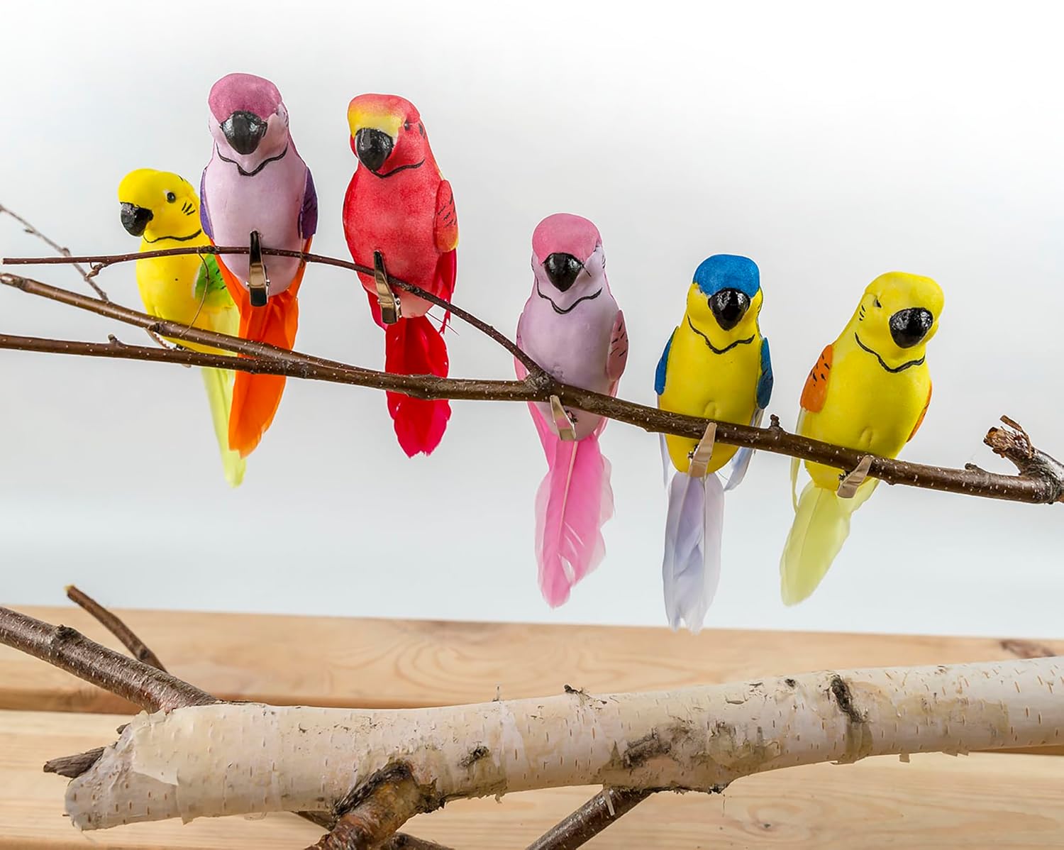 Amazon.com: Cartanfill- Feather Parrot Bird Decor 6" DIY Craft for ...