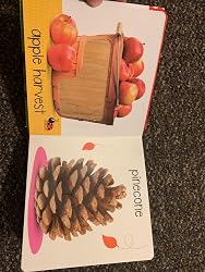 Amazon.com: Touch and Feel Fall: Scholastic Early Learners (Touch and ...
