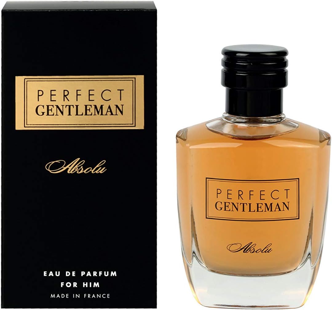 PERFECT GENTLEMAN ABSOLU EDP 100ml FOR HIM BY ART & PARFUM : Amazon.co ...