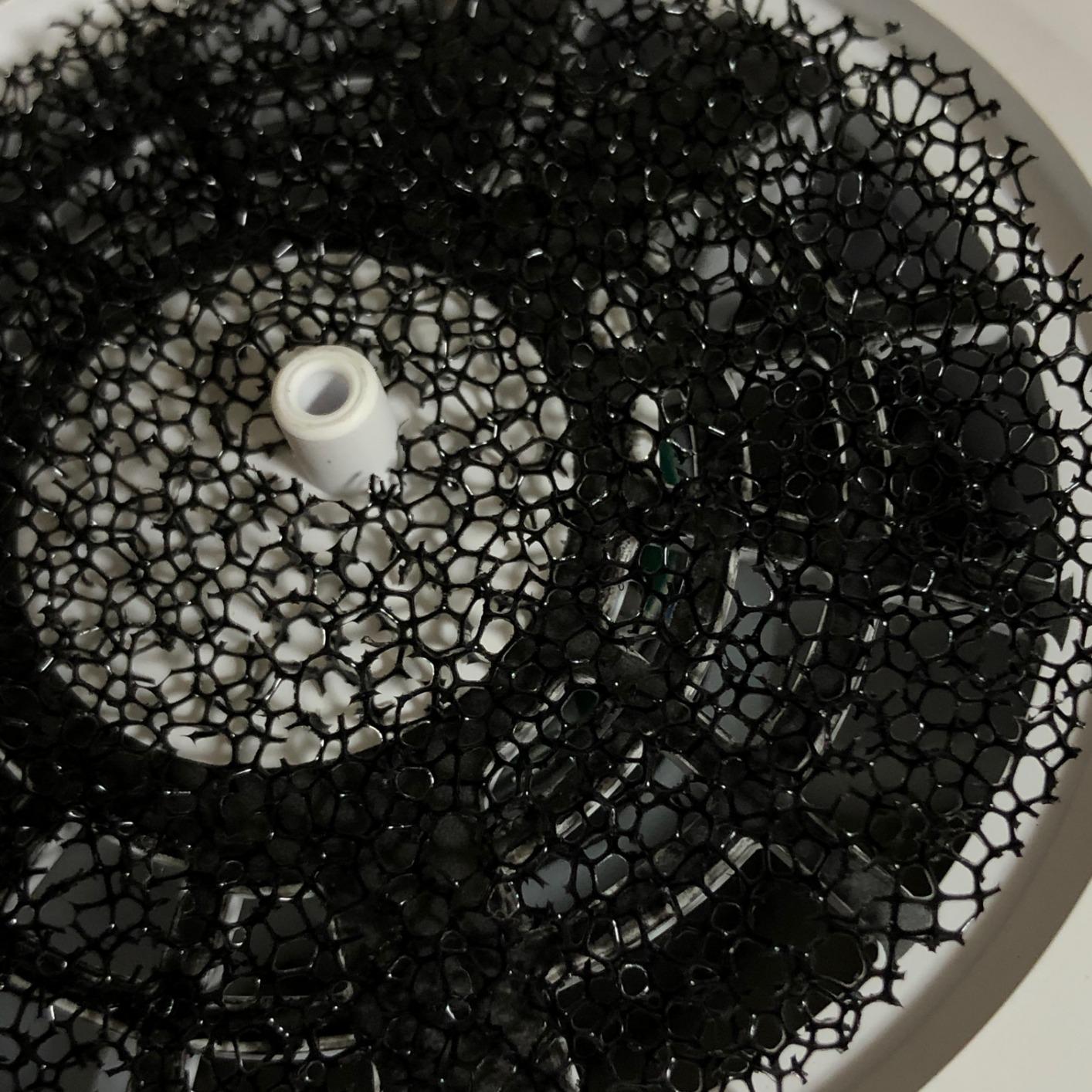 Amazon | Bioprogramming レプロナイザー 3D Plus | Bioprogramming | ヘアドライヤー 通販